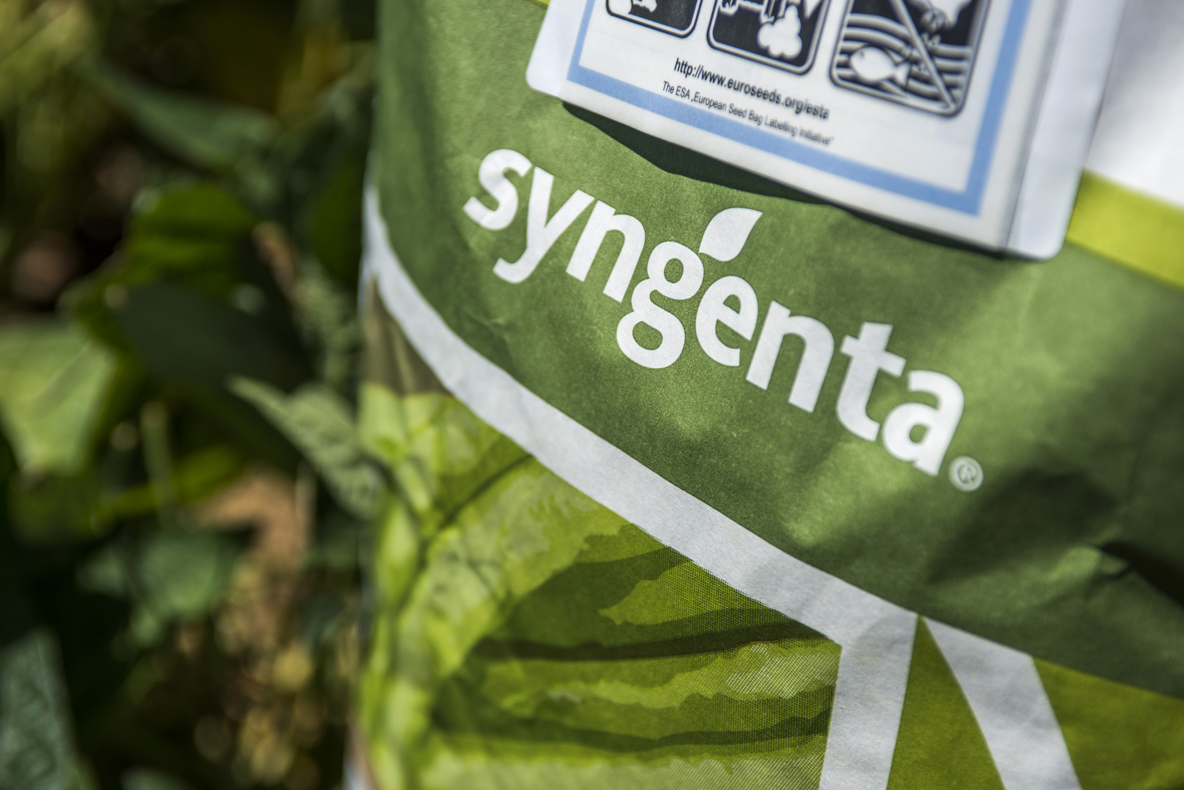 Syngenta altera estratégia para fazer frente a concorrentes