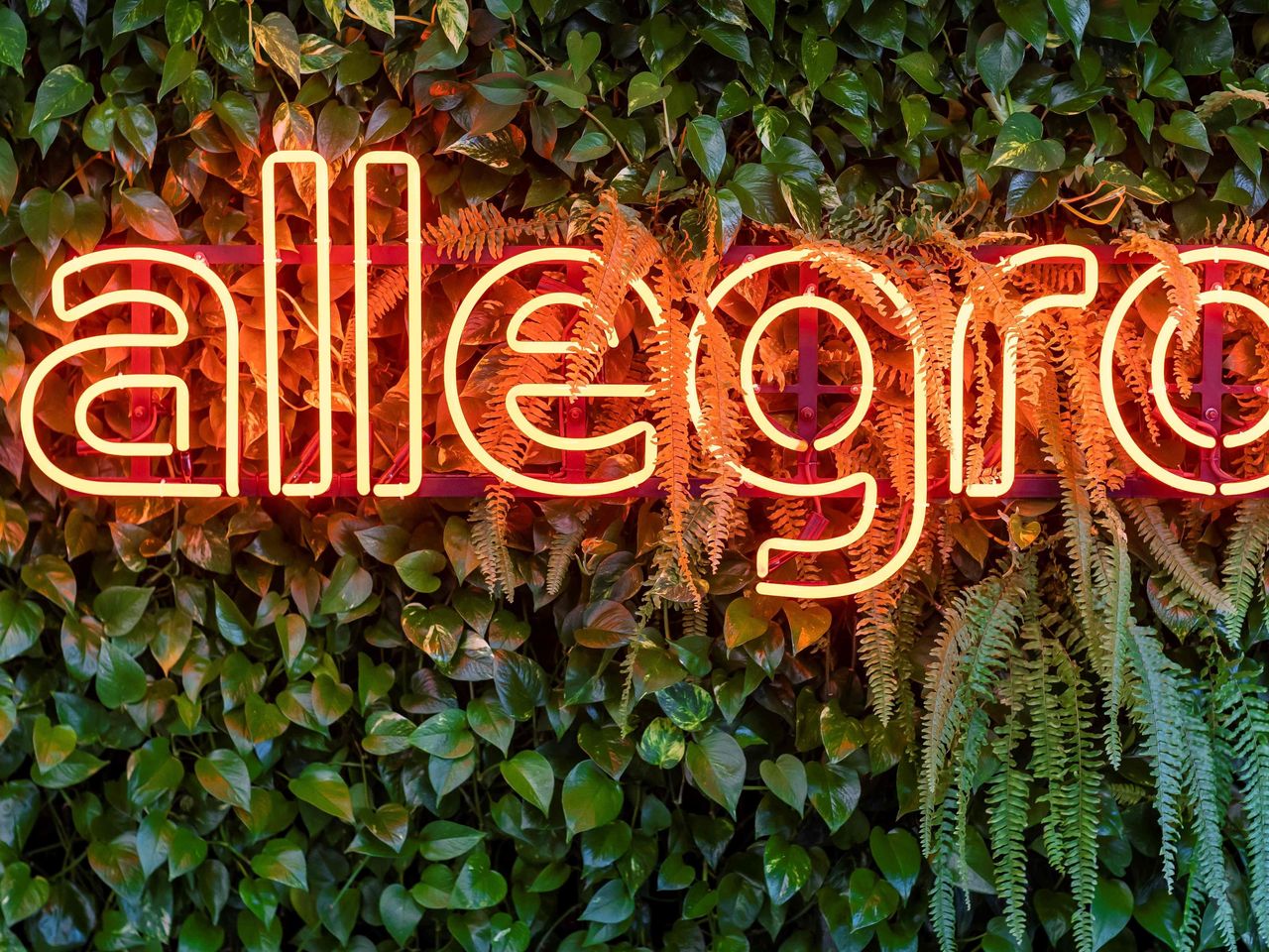 IPO da Allegro, concorrente do eBay, movimenta mercado europeu