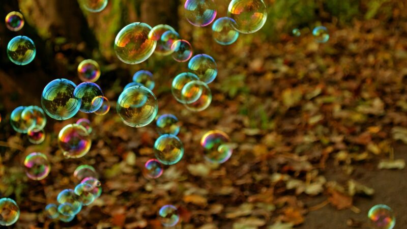 Bolha econômica: Entenda o que é e como se proteger